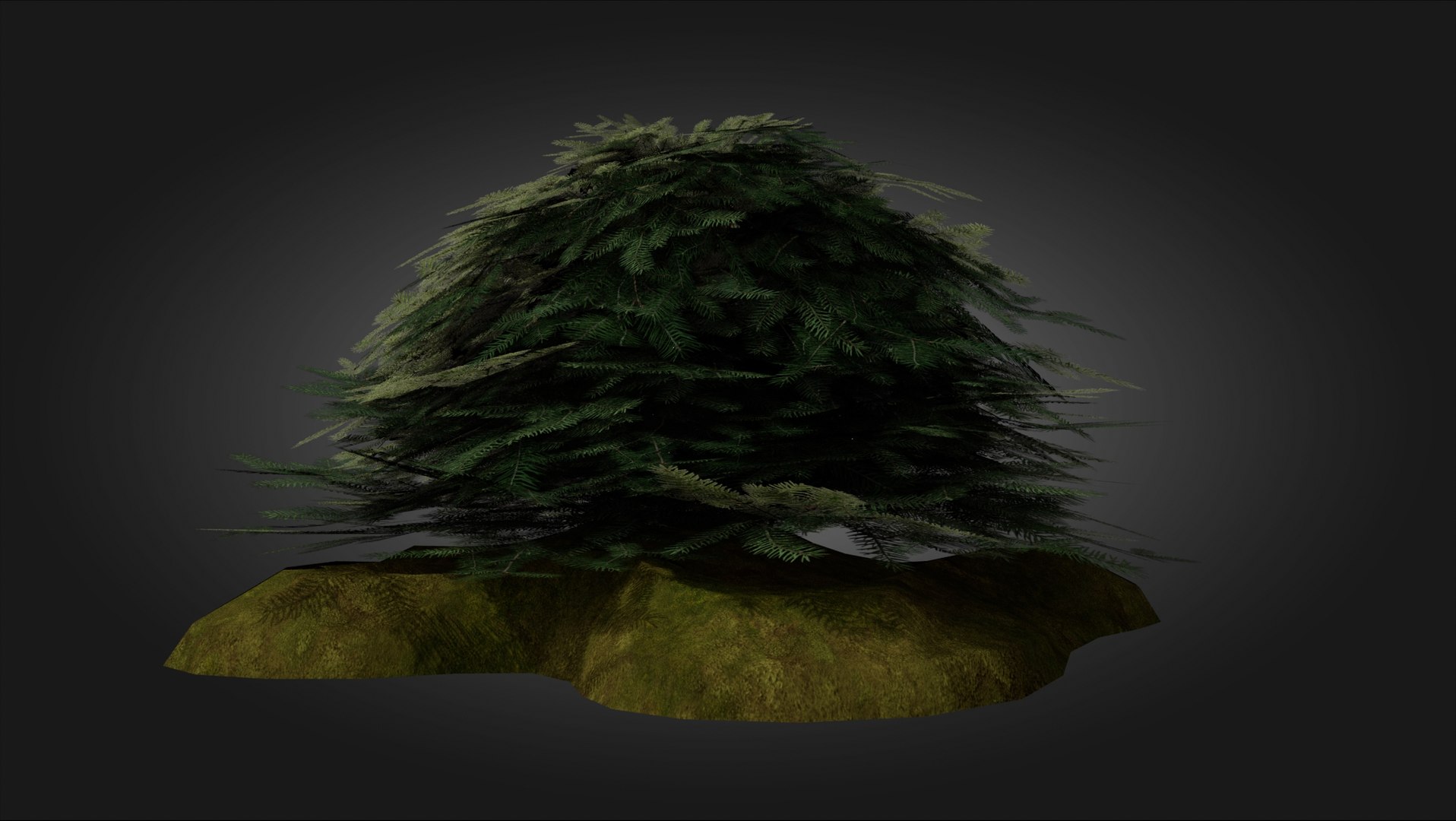 3D Scan Based Nested Spruce PBR TurboSquid 1953914