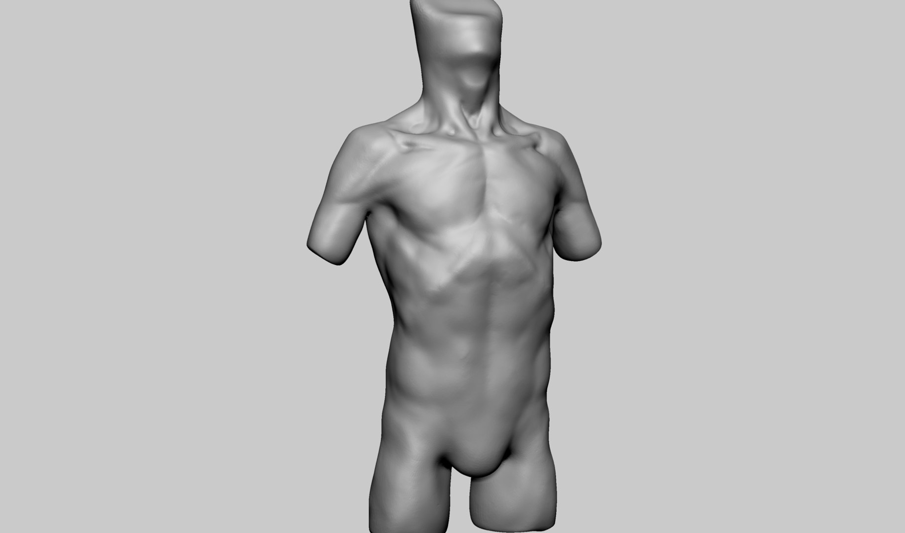 3D Male Torso Anatomy TurboSquid 1600464