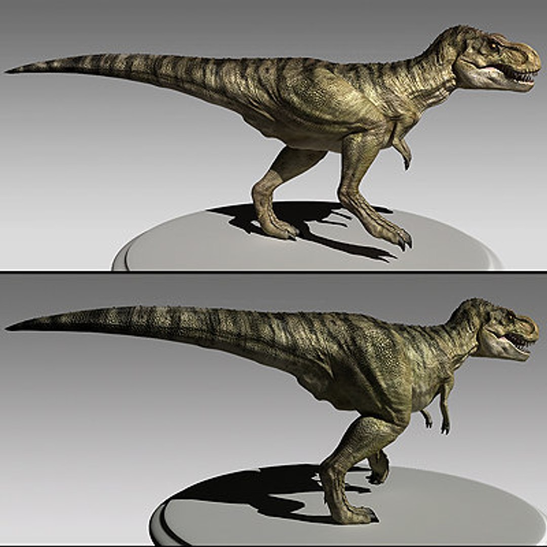 t-rex modelled 3d model
