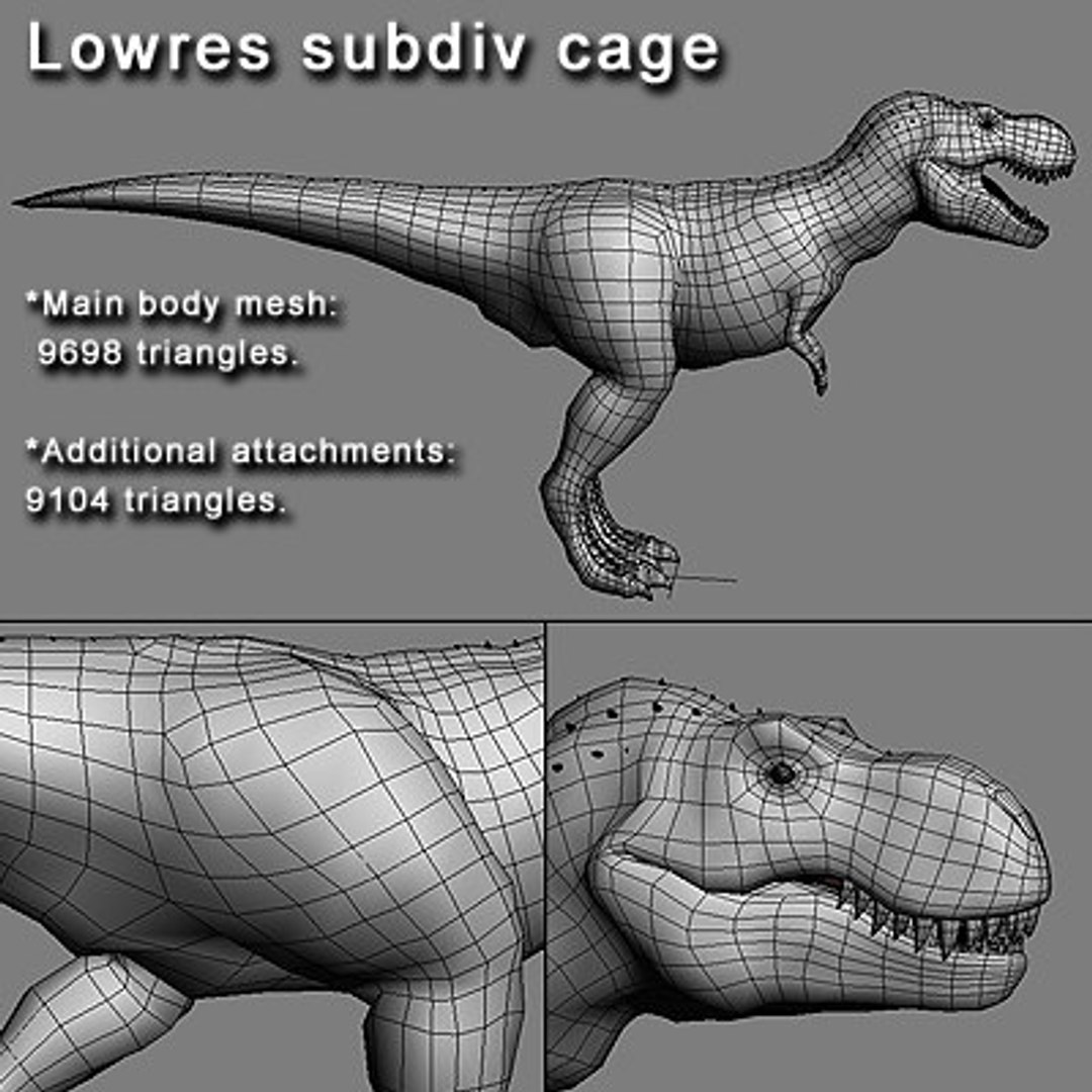 T-rex Modelled 3d Model