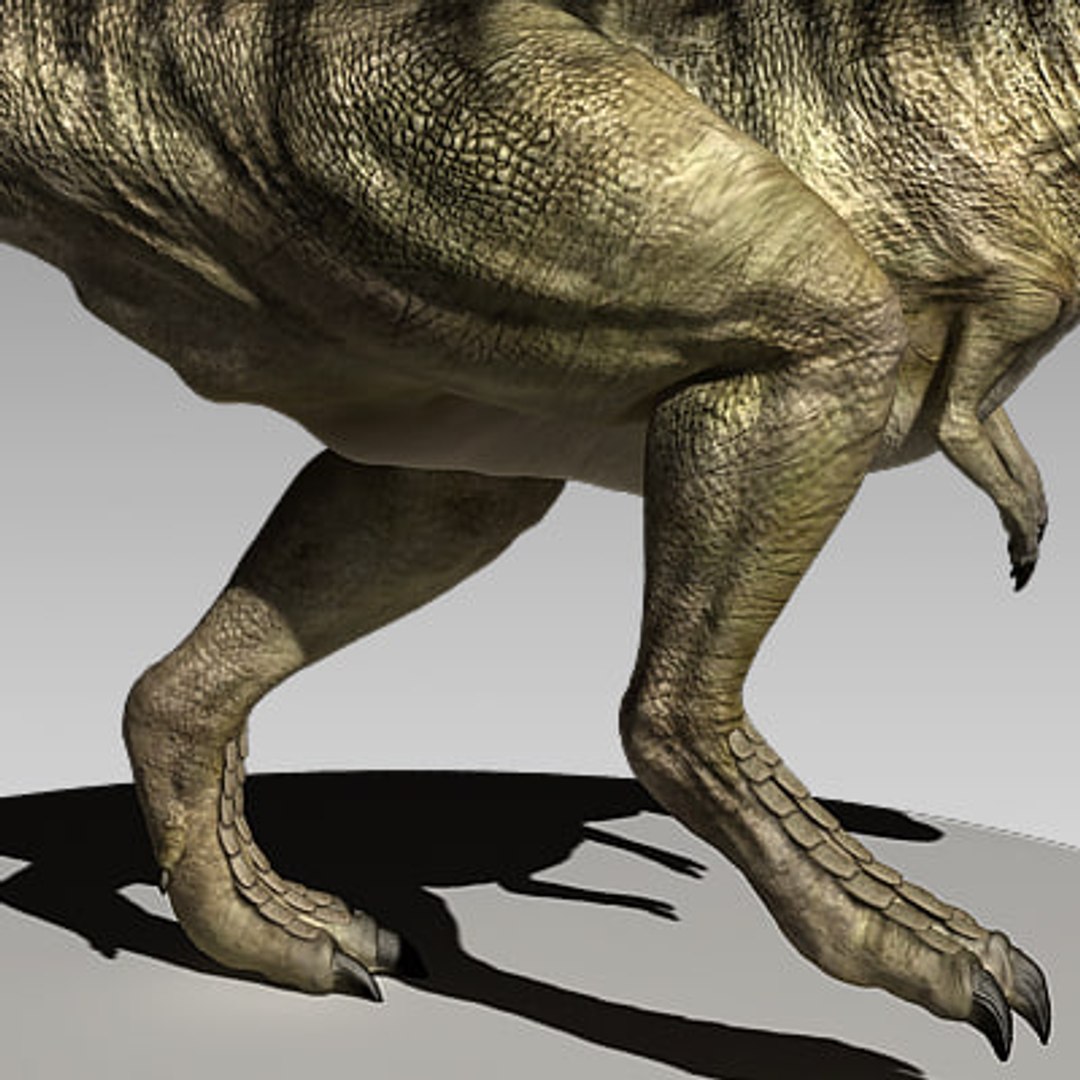 t-rex modelled 3d model