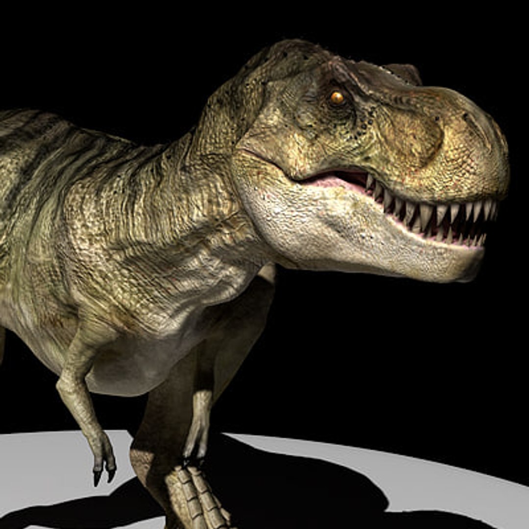 t-rex modelled 3d model