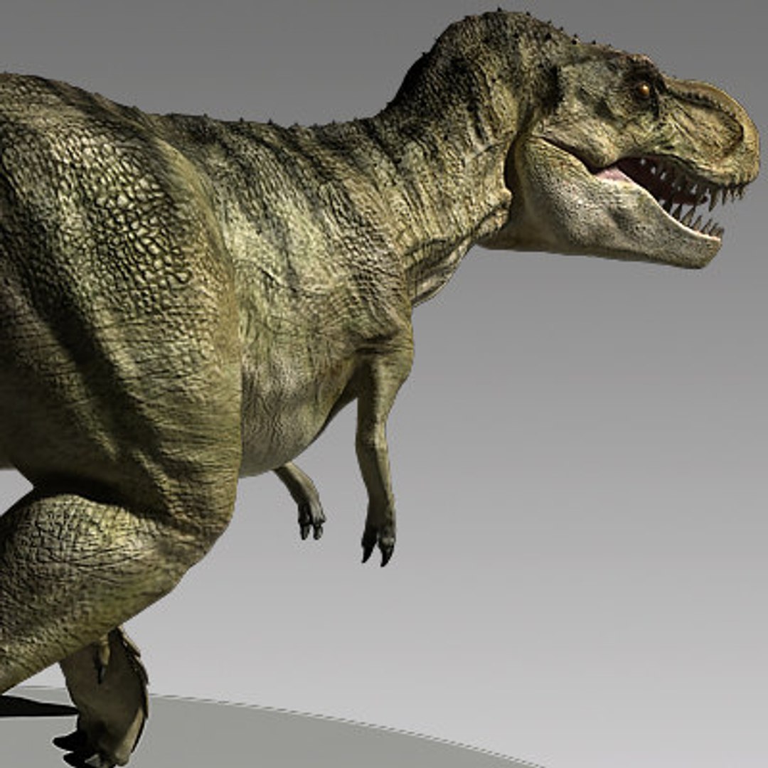 T-rex Modelled 3d Model