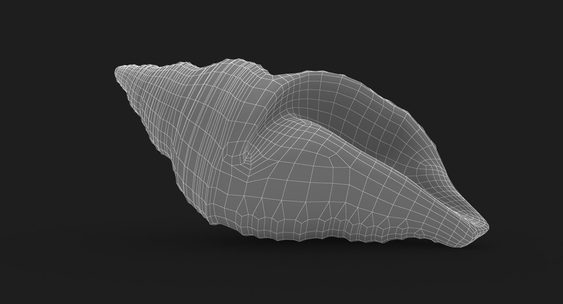 Realistic sea shell set 3D model - TurboSquid 1150992