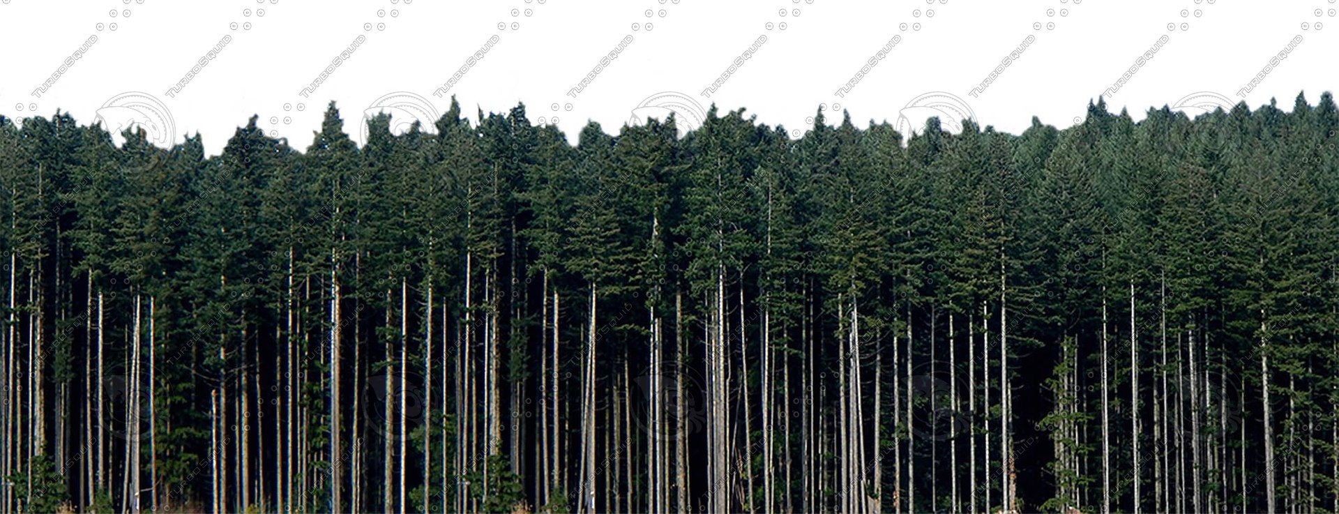 3D 16 Cutout Background Trees Model - TurboSquid 1236384