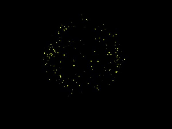 free fireworks particle flow 3d model