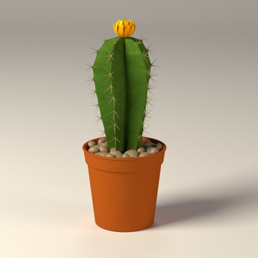 3d model cactus pot