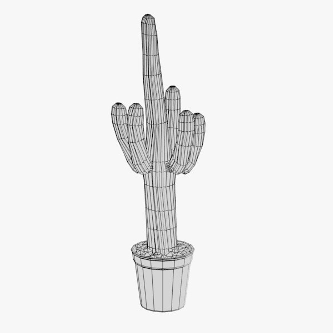 3d model cactus pot