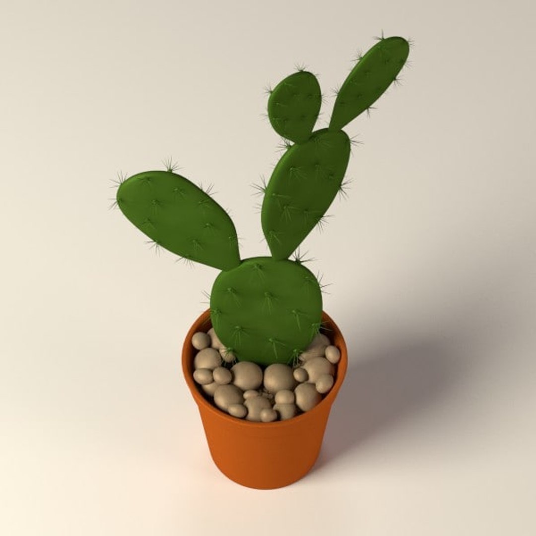 3d model cactus pot