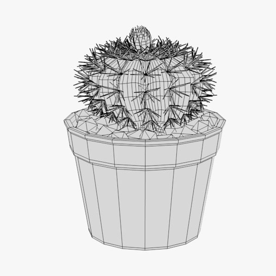 3d model cactus pot