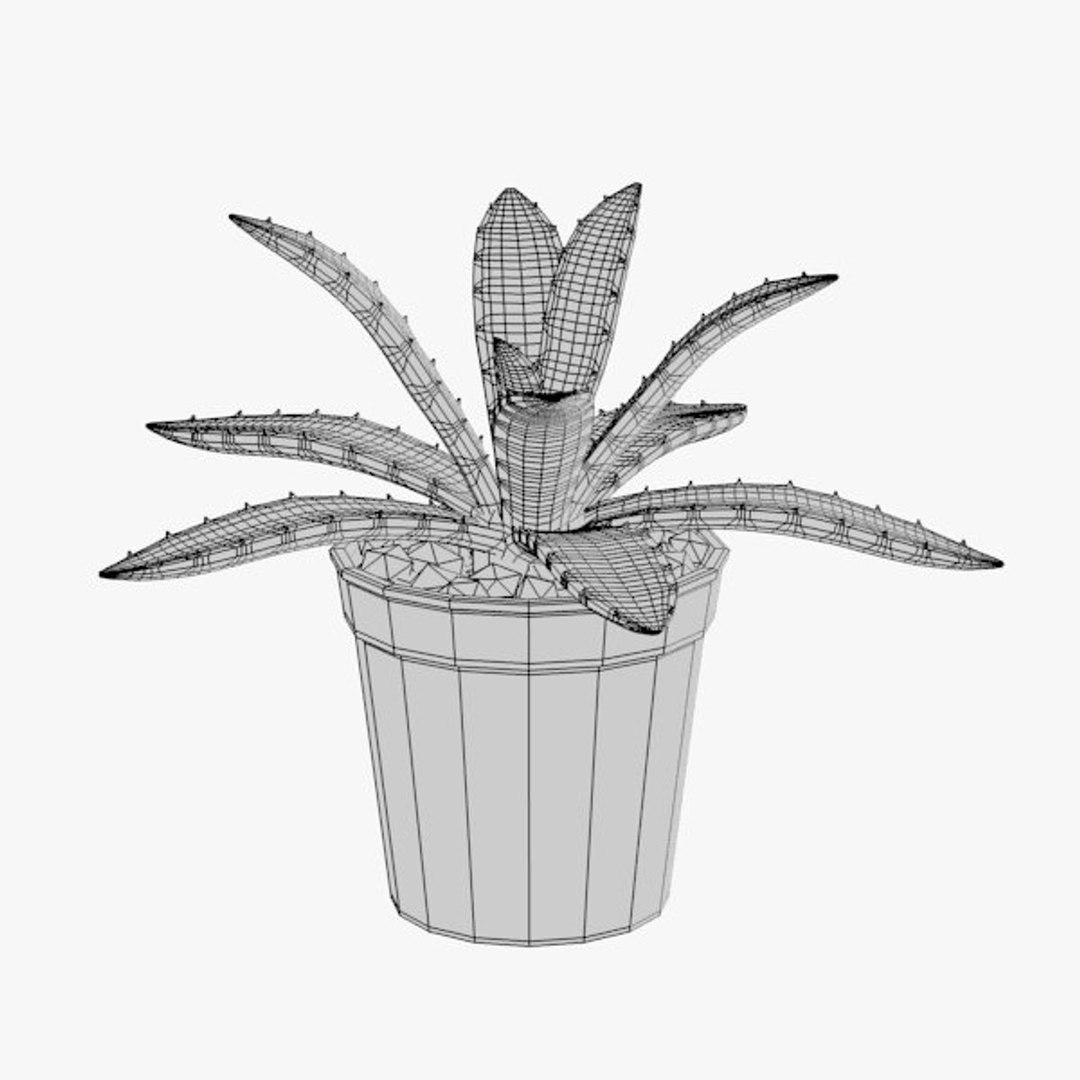 Suculent Pot 3d Model