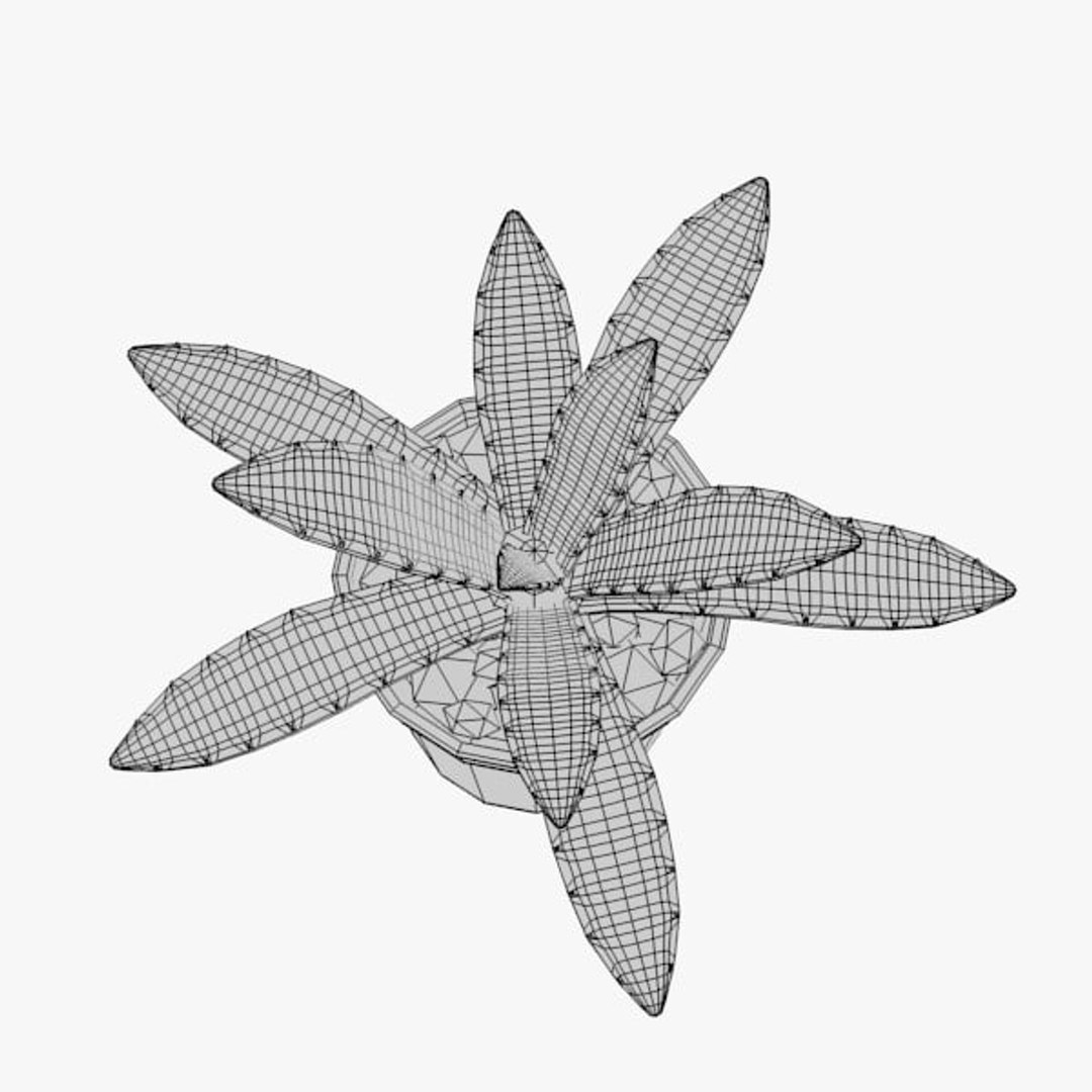 Suculent Pot 3d Model