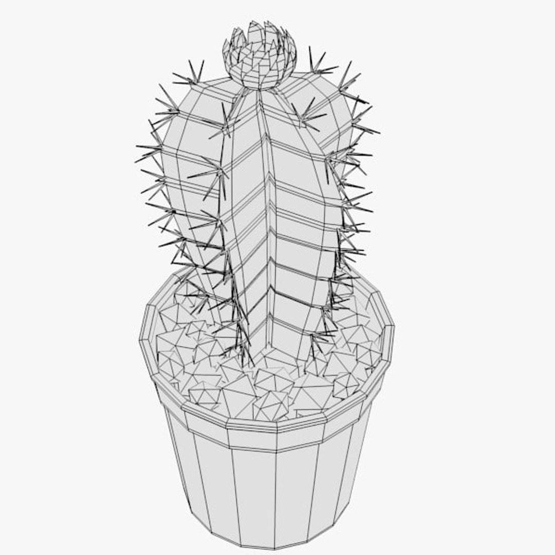Cactus Pot 3d Model