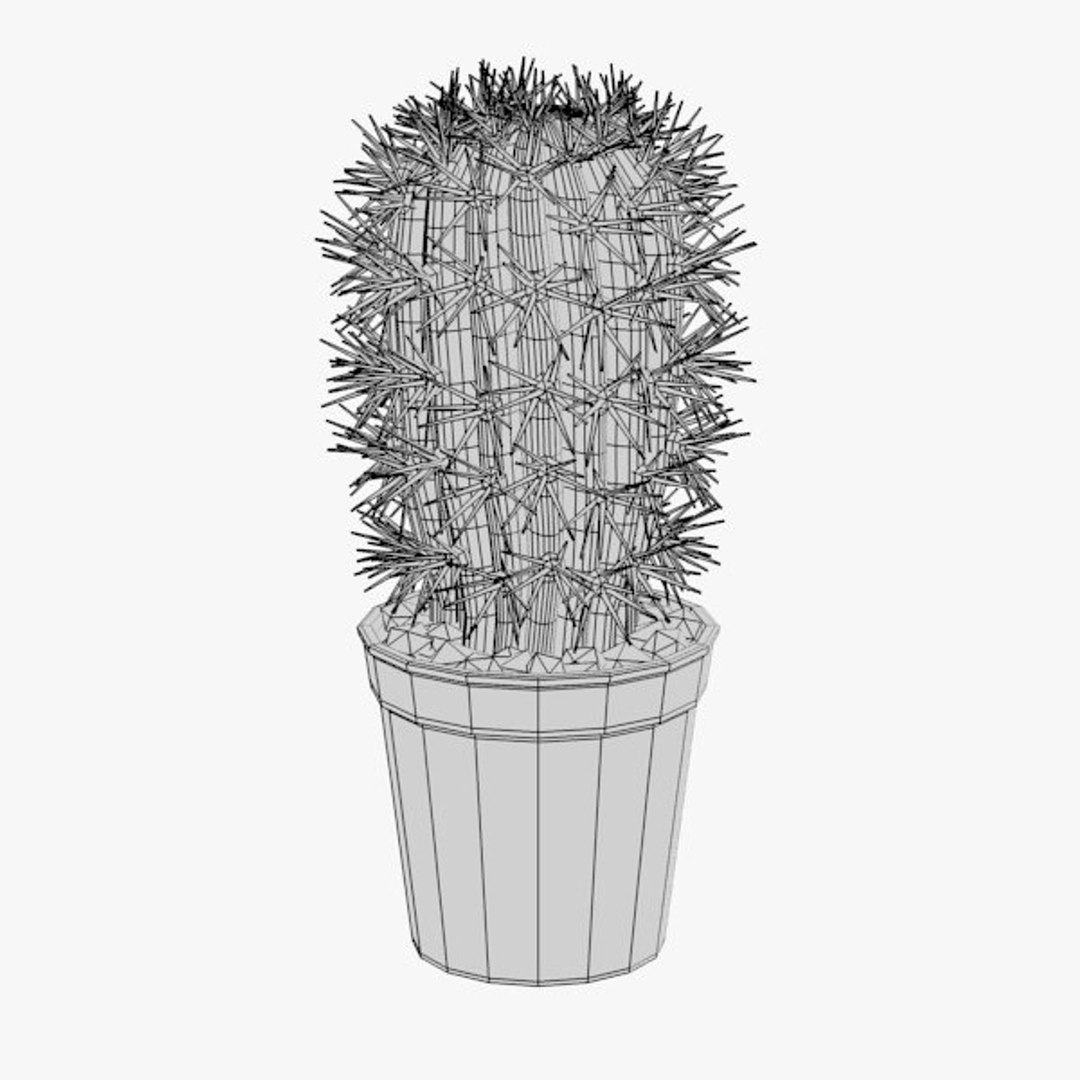 cactus pot 3d model