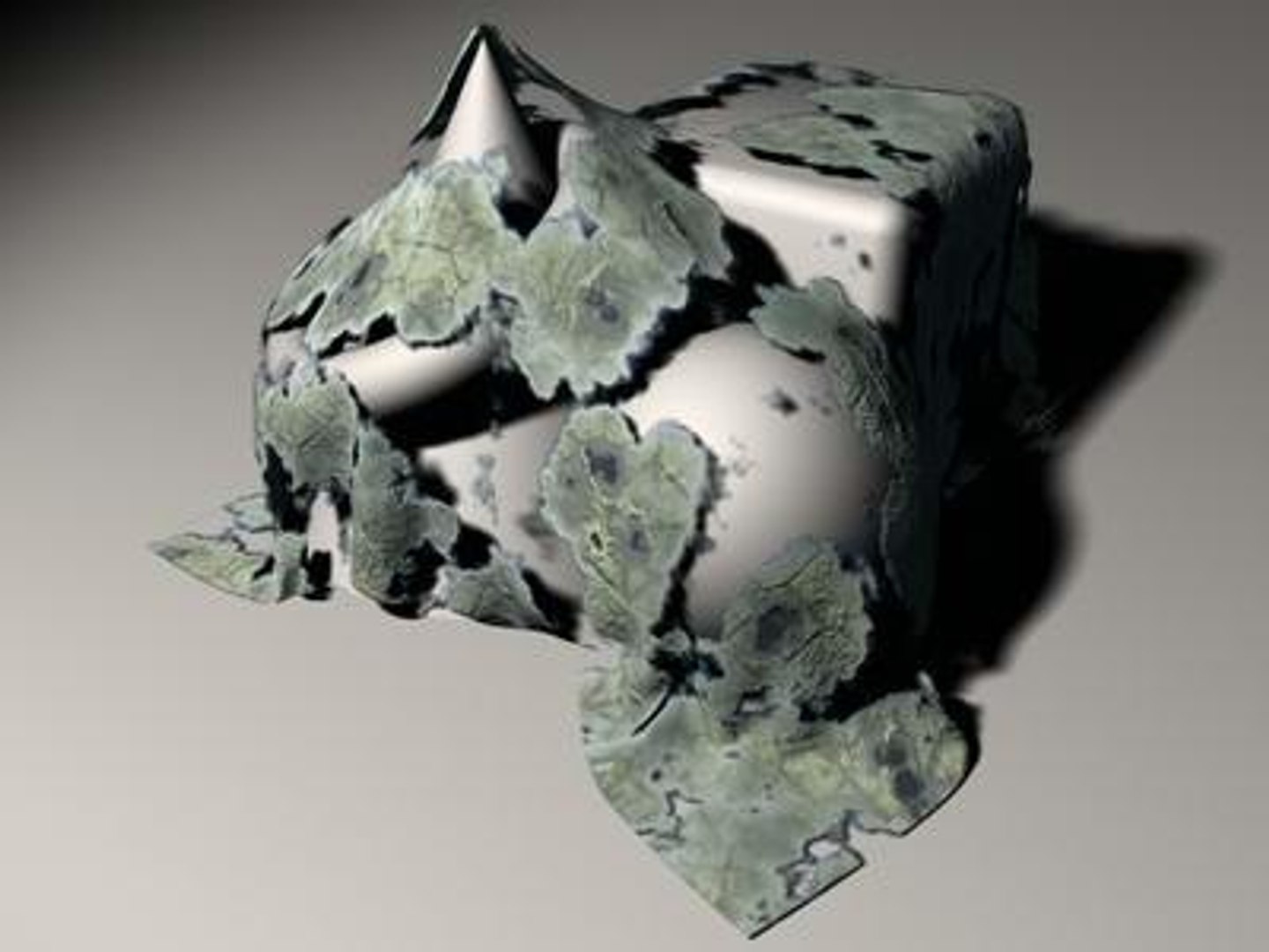 Lichen 2size - TurboSquid 155236