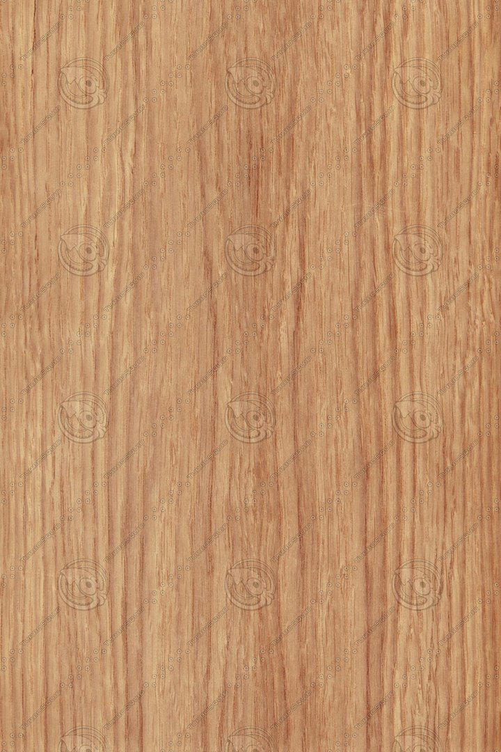 Oak_vm01 - TurboSquid 155443