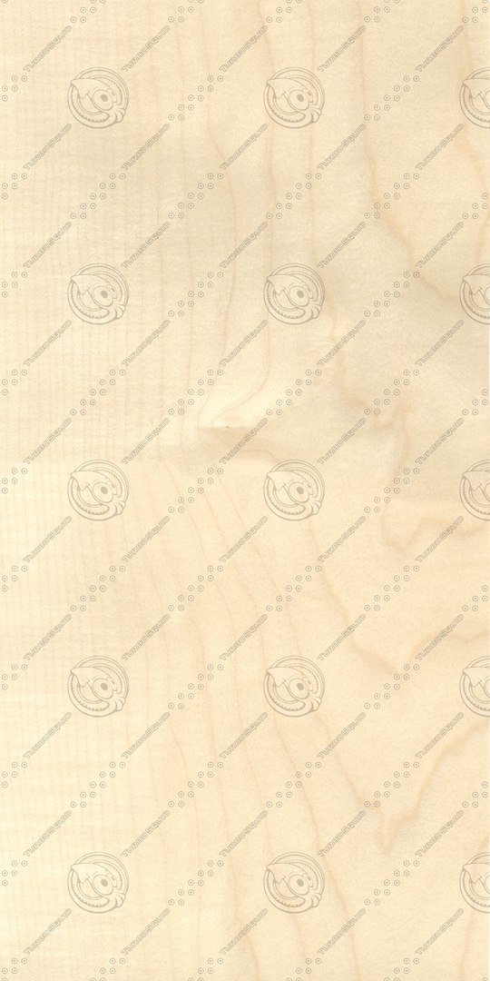 Maple_n1 - TurboSquid 156008