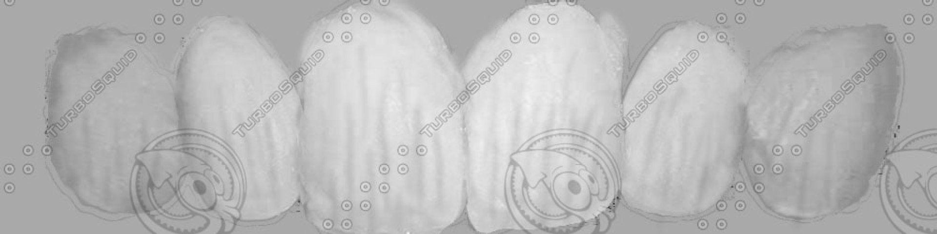 Upper Teeth Bump.jpg - TurboSquid 155512