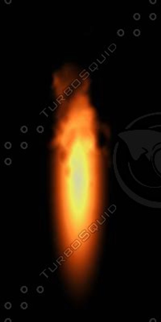 TorchFire_loop50x - TurboSquid 195194