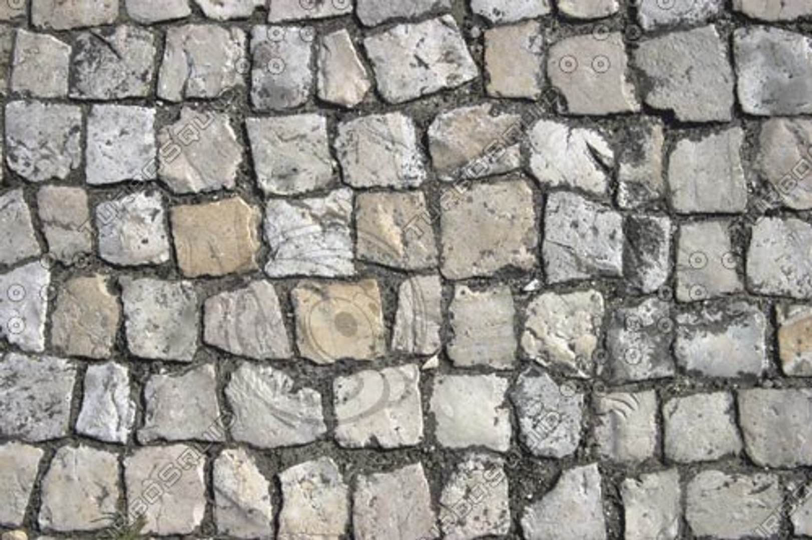 Inx_005.jpg - TurboSquid 213518