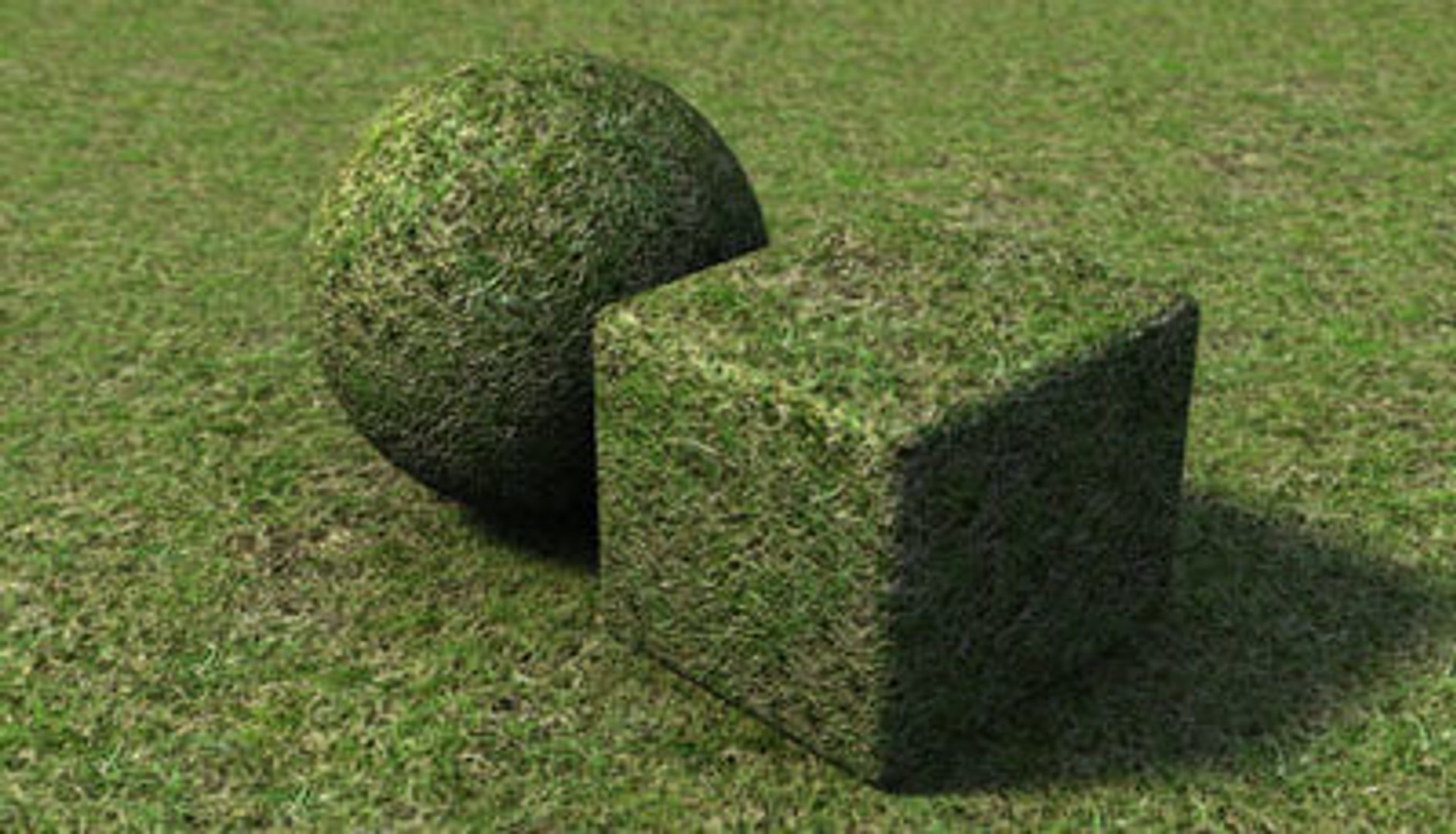 Grass V02 - TurboSquid 212013