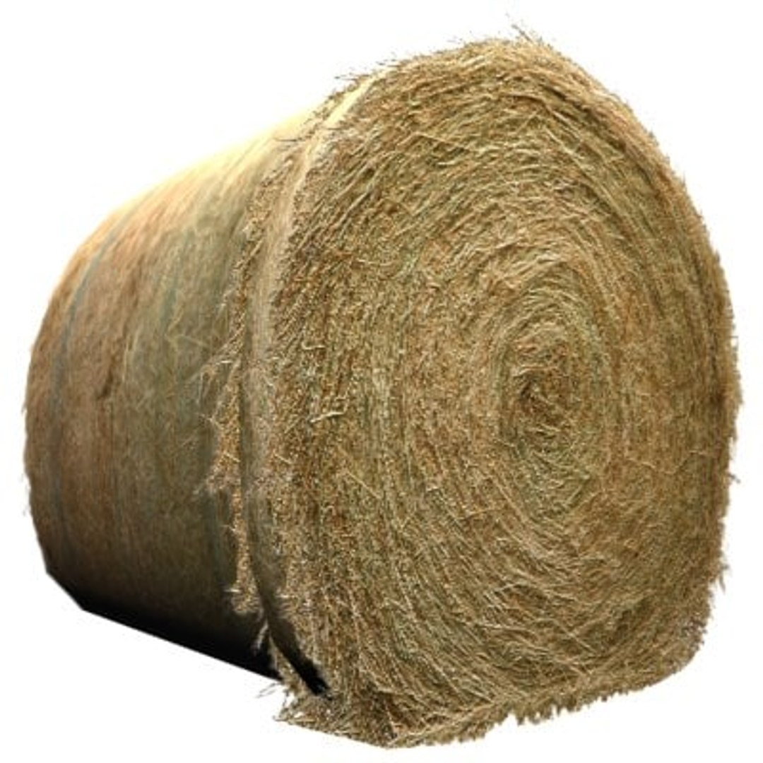 Hay Round Bale - Texture High Resolution - TurboSquid 236142
