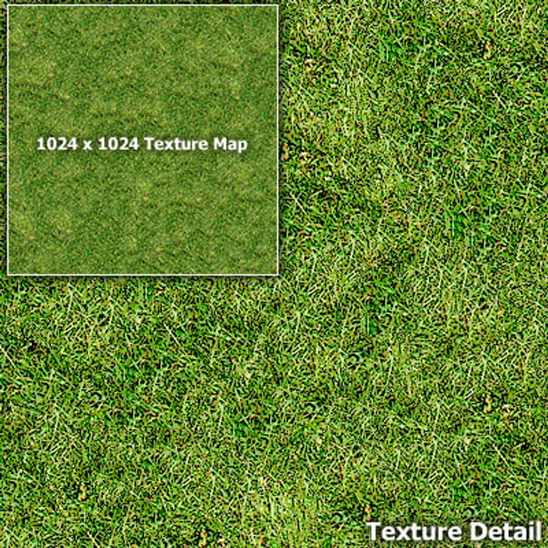 30_Grass_Textures - TurboSquid 226331
