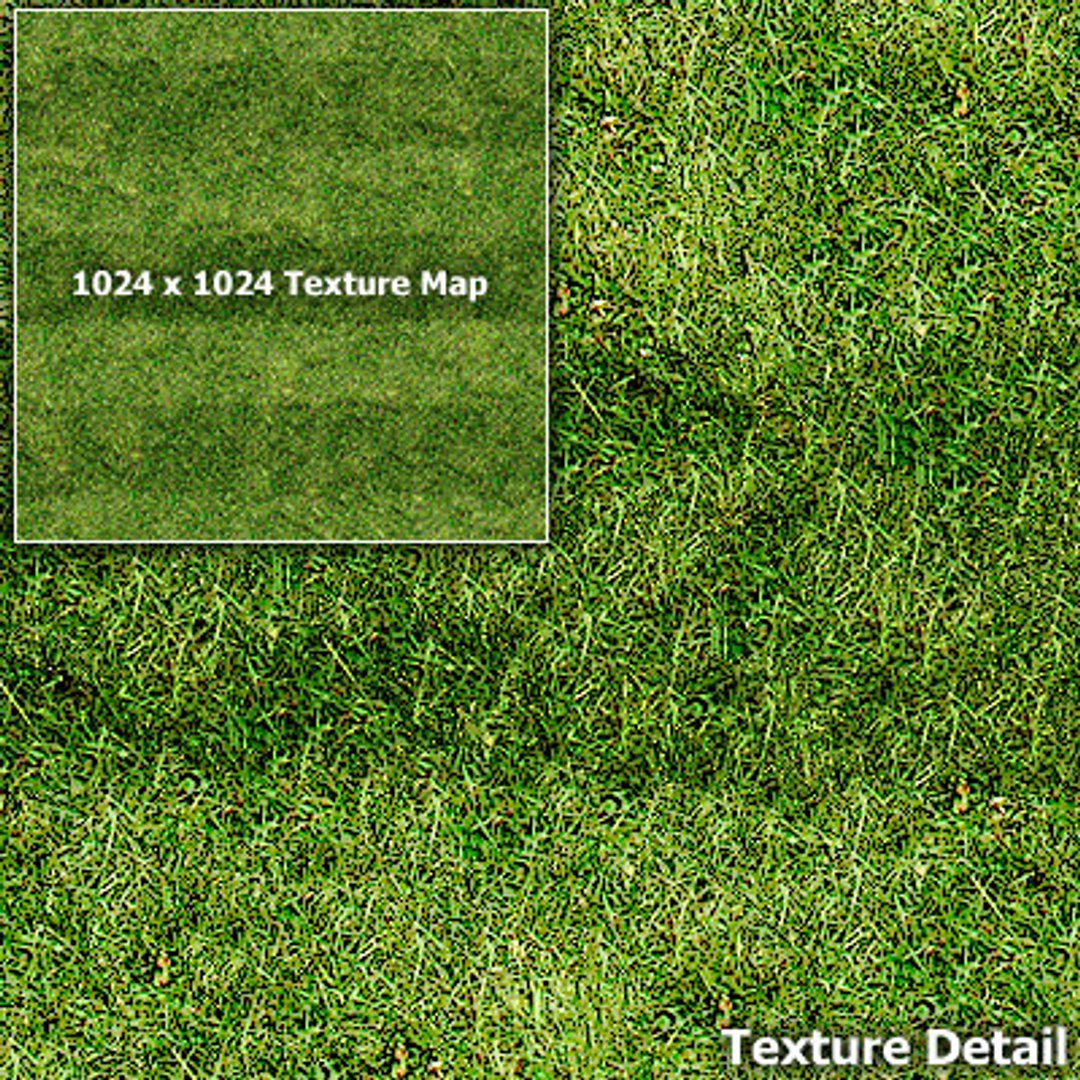 30_Grass_Textures - TurboSquid 226331
