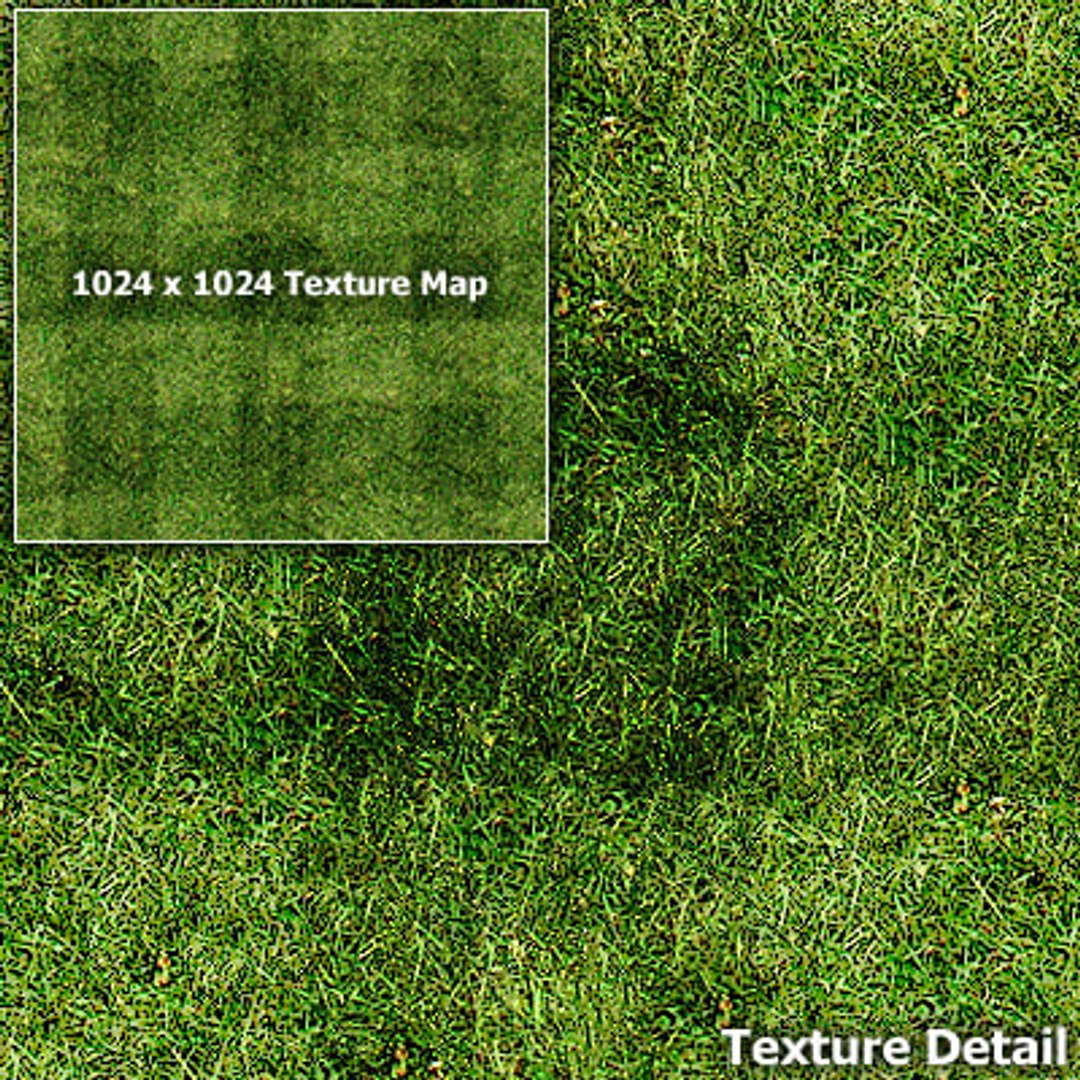 30_Grass_Textures - TurboSquid 226331