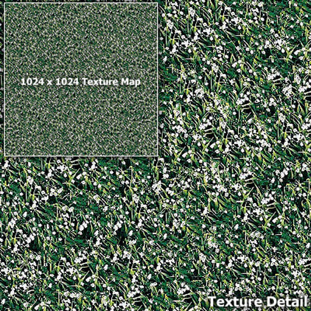 30_Grass_Textures - TurboSquid 226331
