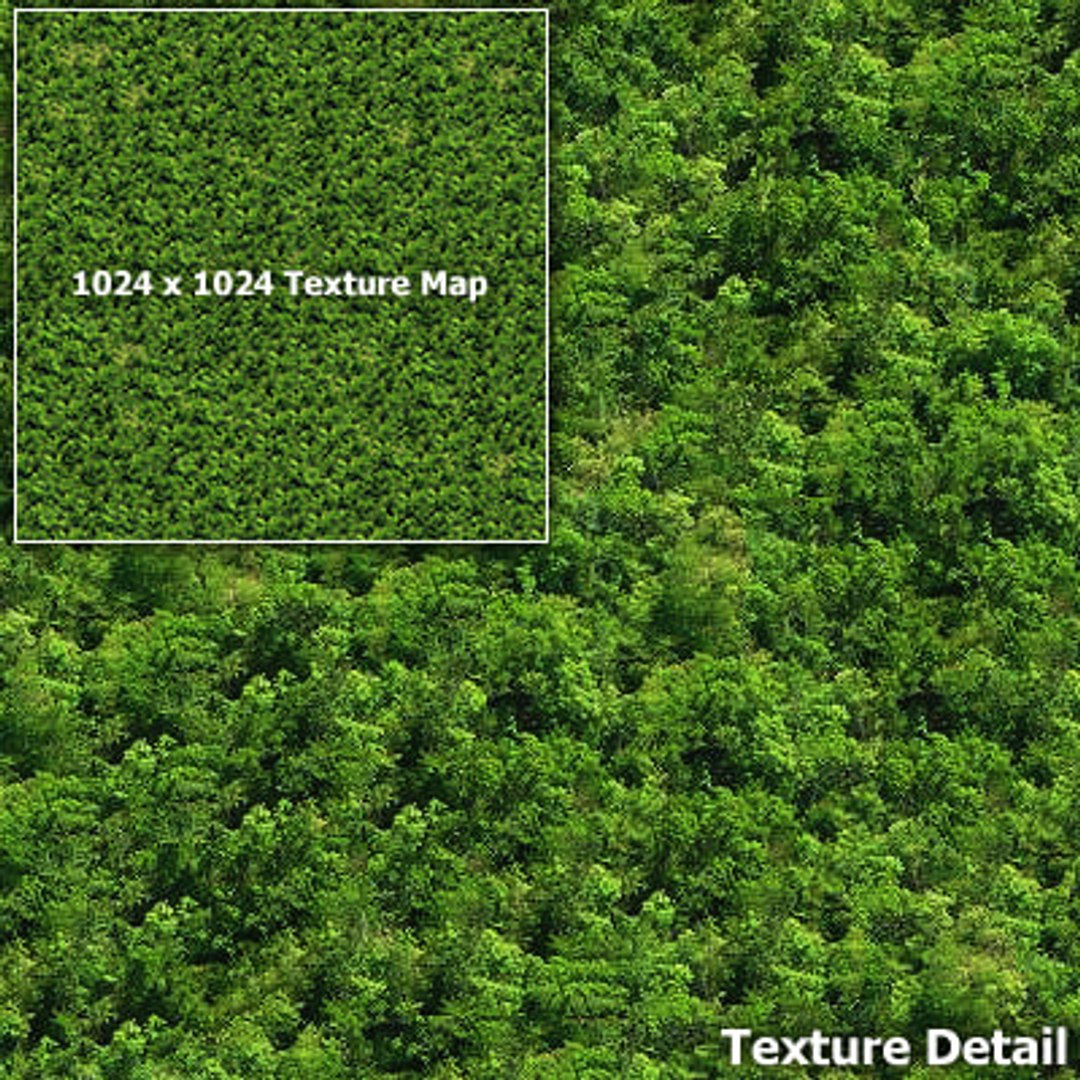 30_Grass_Textures - TurboSquid 226331