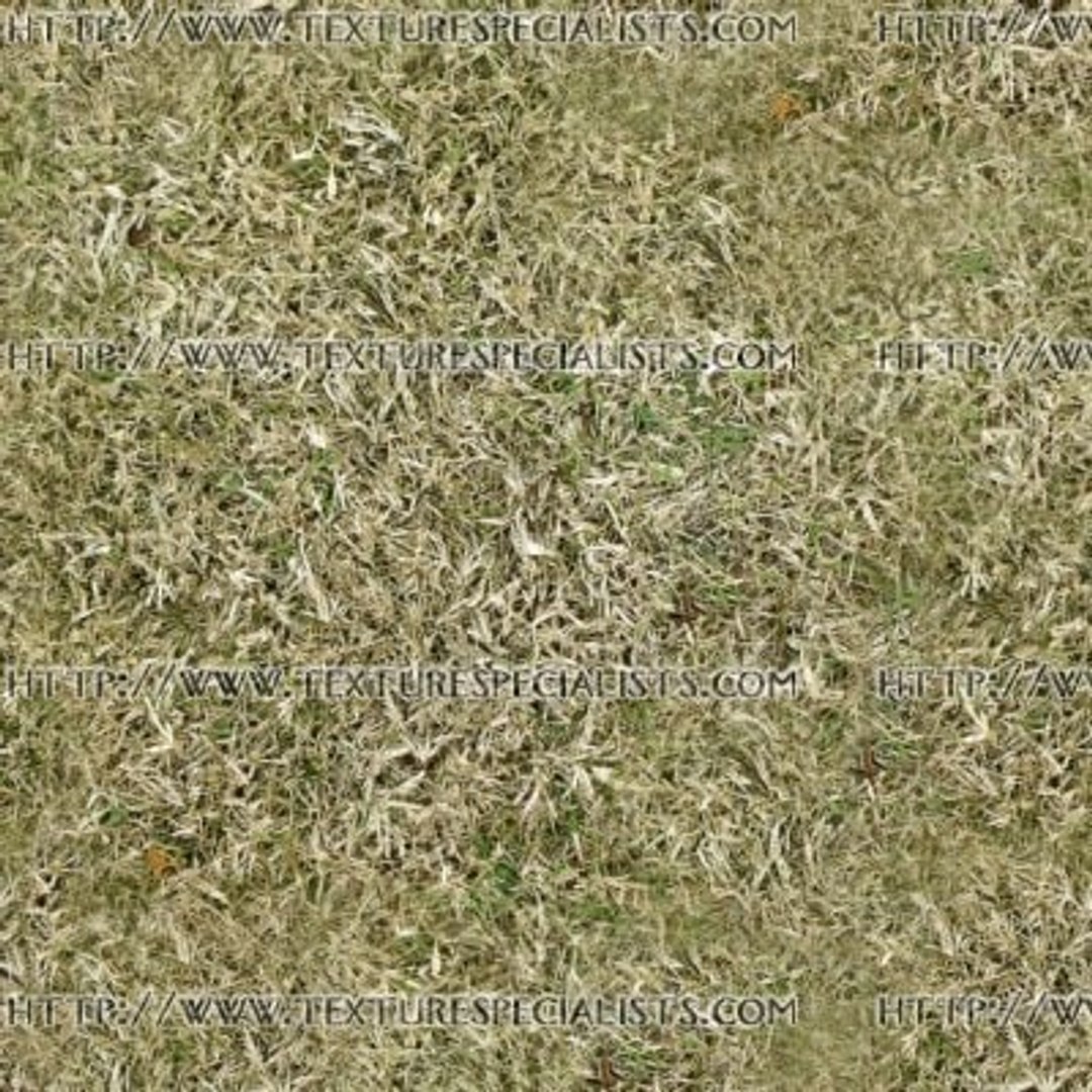 My Grounds - 01 - TurboSquid 220783