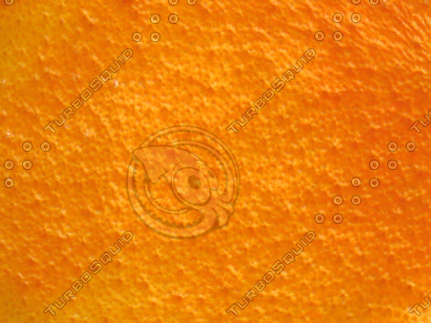 Organge - TurboSquid 236537