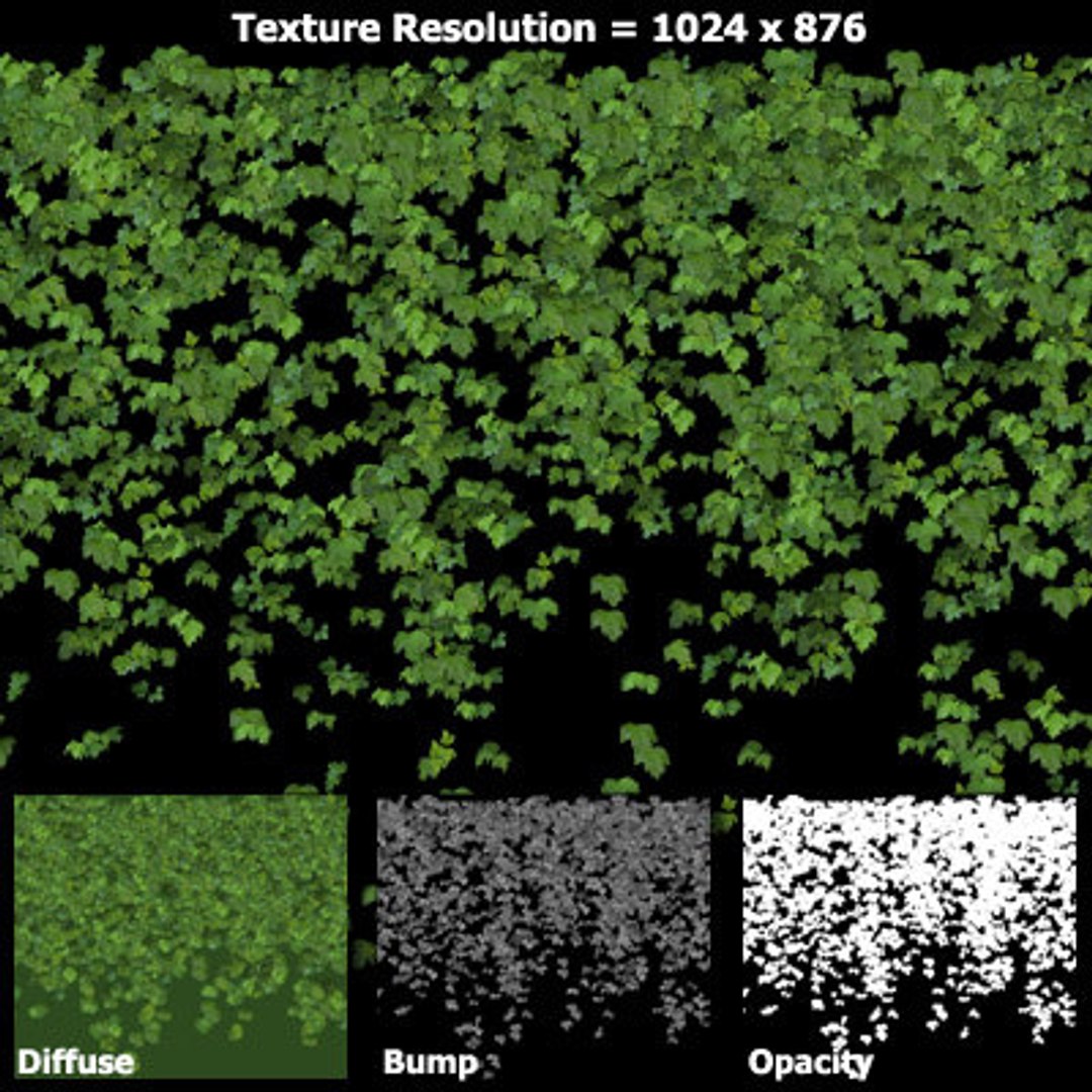 12_Vine_Textures - TurboSquid 228647