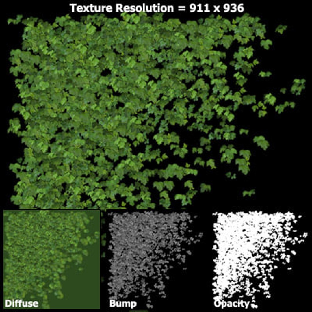 12_Vine_Textures - TurboSquid 228647