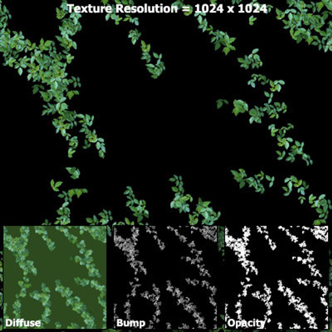 12_Vine_Textures - TurboSquid 228647