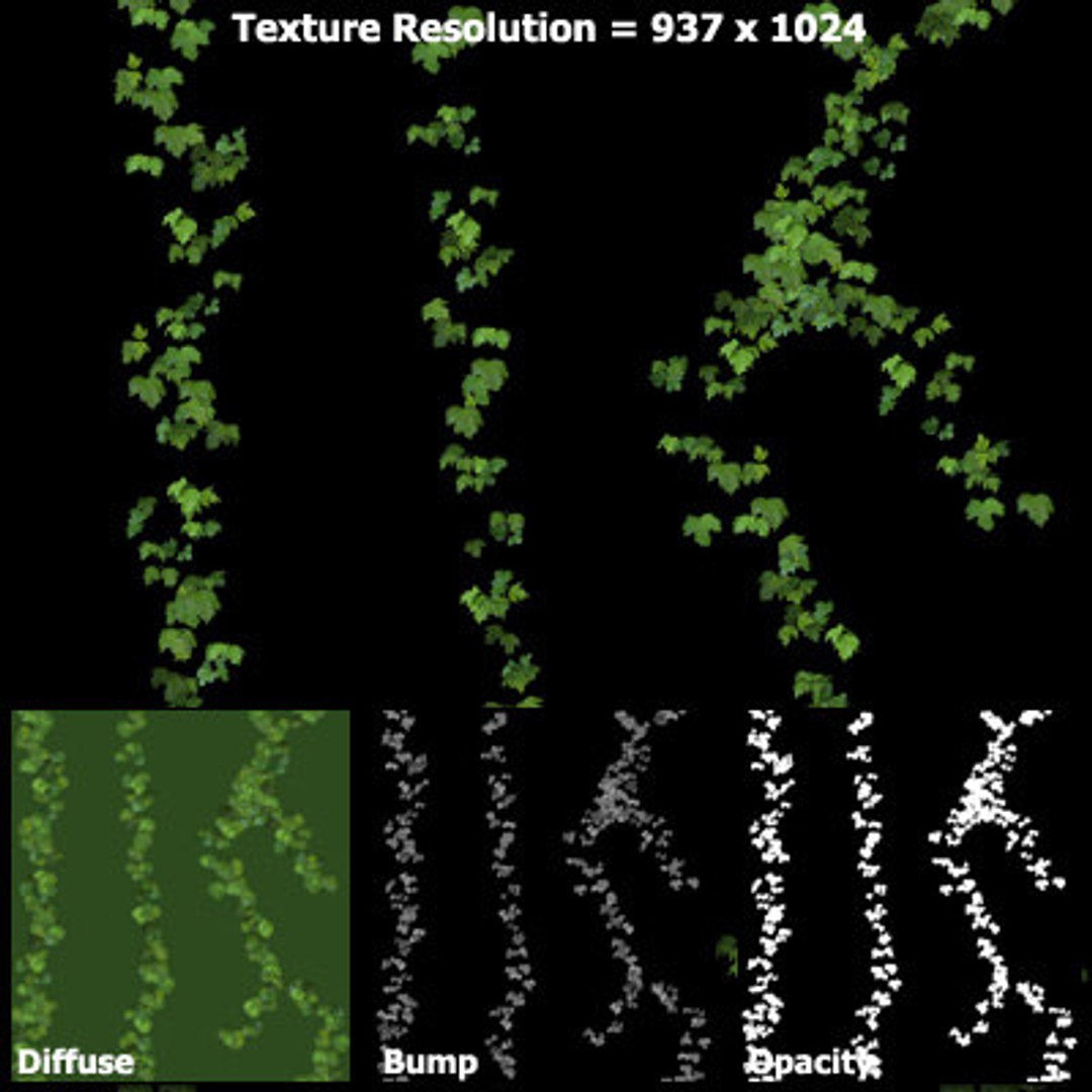 12_Vine_Textures - TurboSquid 228647