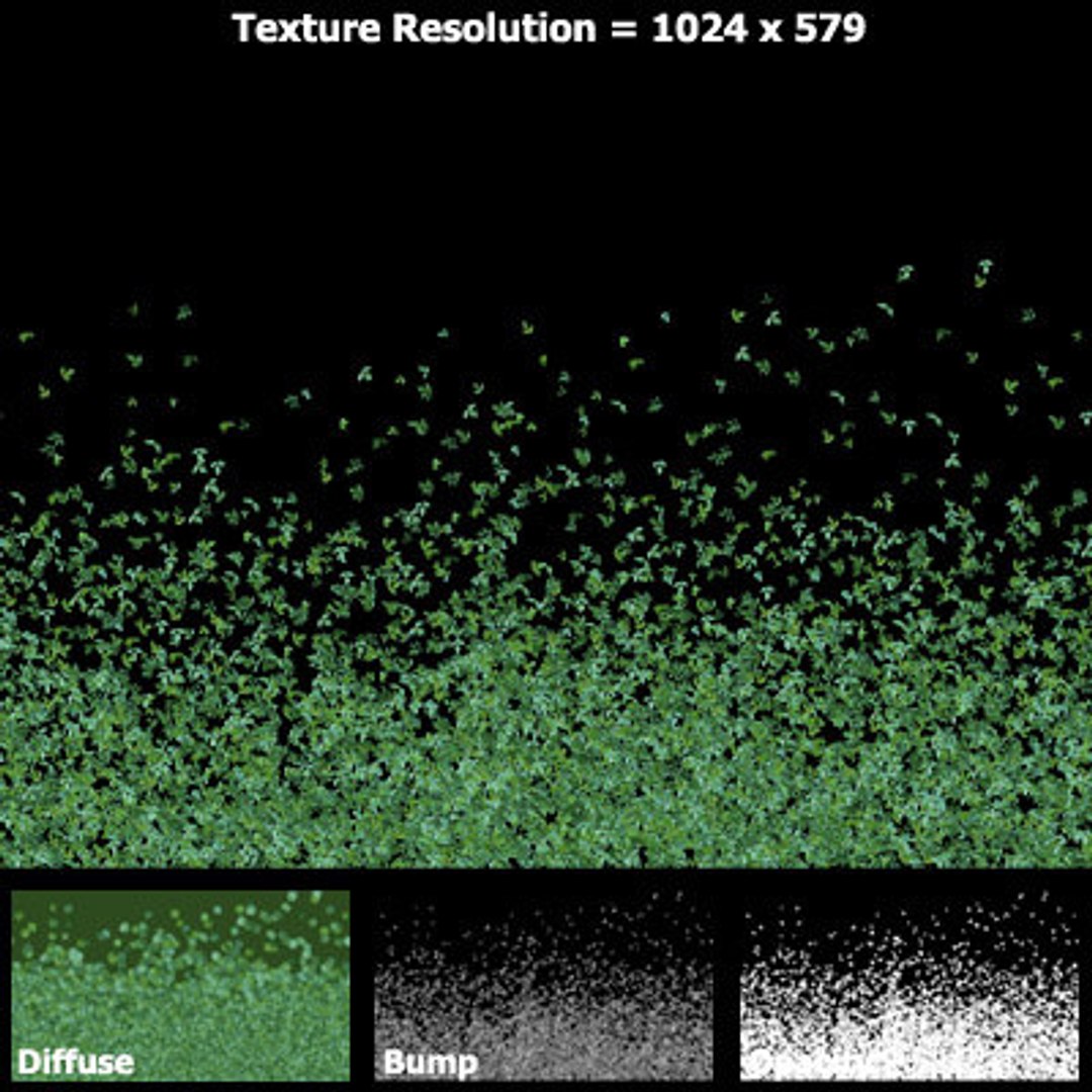 12_Vine_Textures - TurboSquid 228647