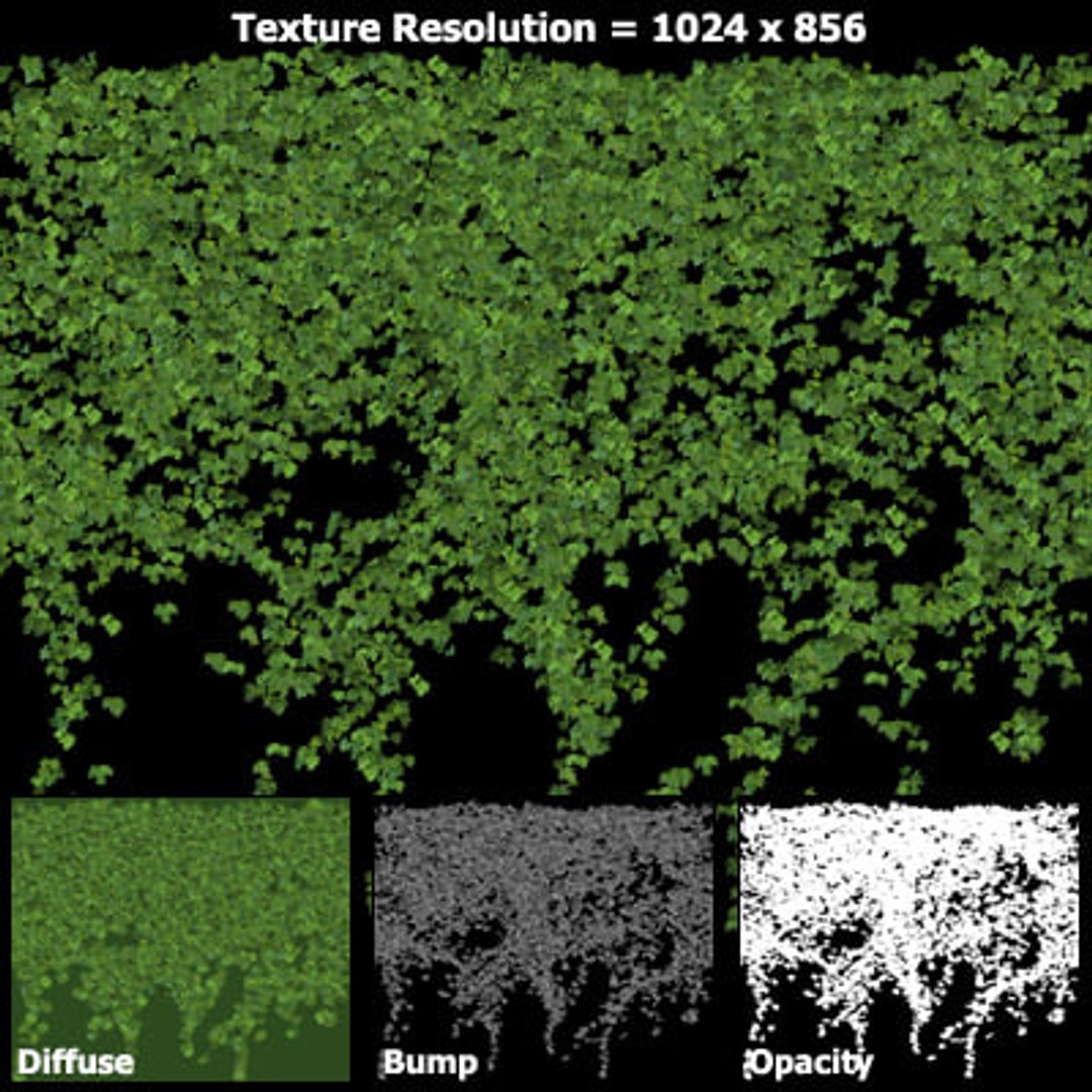 12_Vine_Textures - TurboSquid 228647