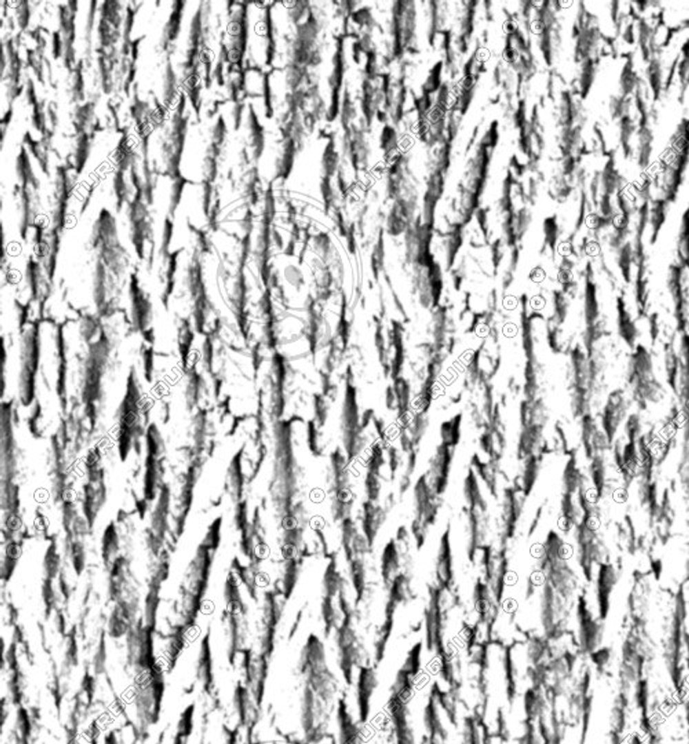 Bark8_bump.jpg - TurboSquid 234015