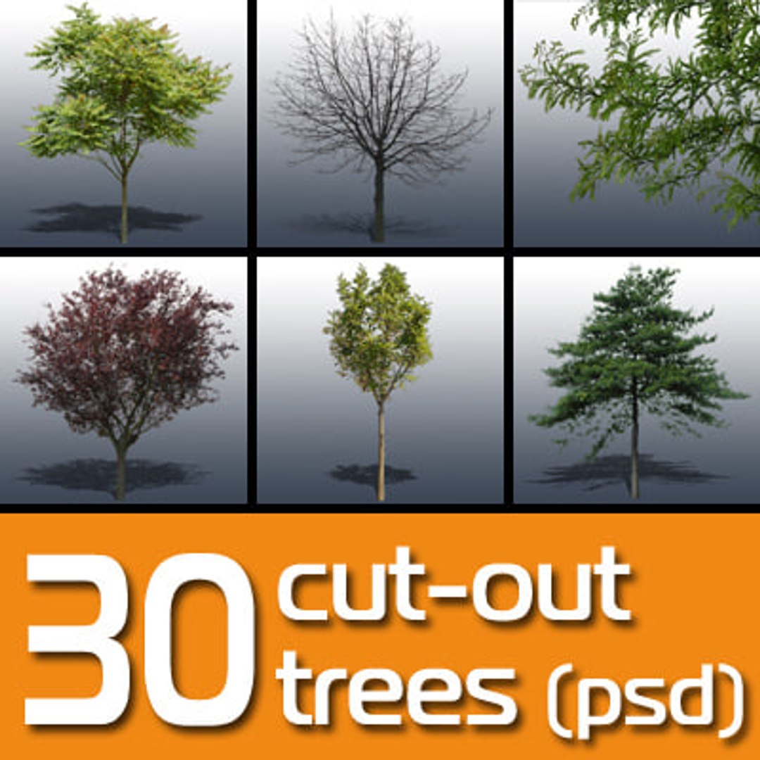 JTX_tree_collection1 - TurboSquid 240061