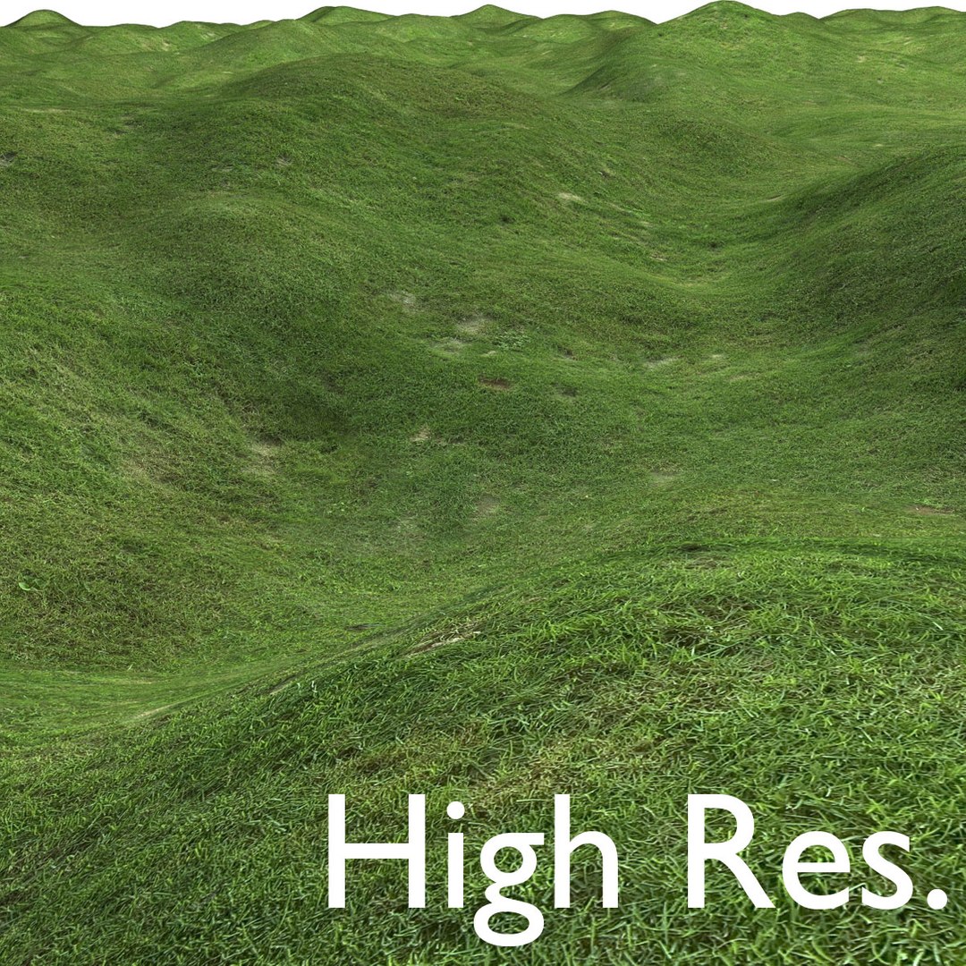 Ultimate Grass High Resolution.jpg - TurboSquid 240824