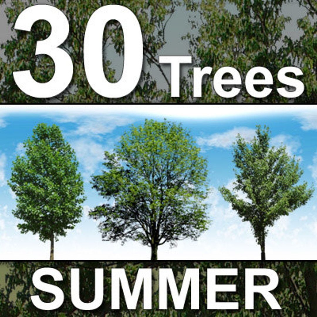 30_Summer_Trees-HiRes - TurboSquid 225573