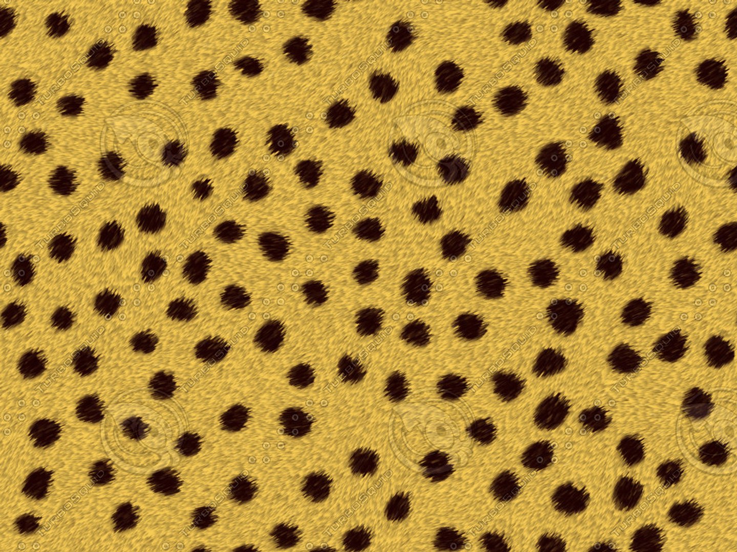 Cheetah Fur Texture - TurboSquid 257284