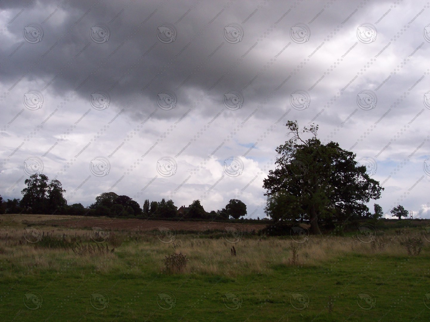 Stormy Landscape.jpg - TurboSquid 273892