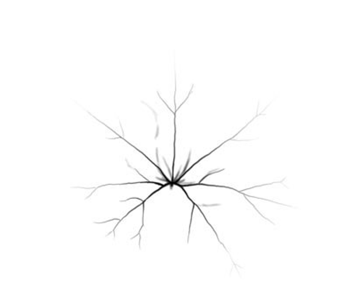 Leaf Texture (diffuse - Alpha - Bump) - TurboSquid 274548