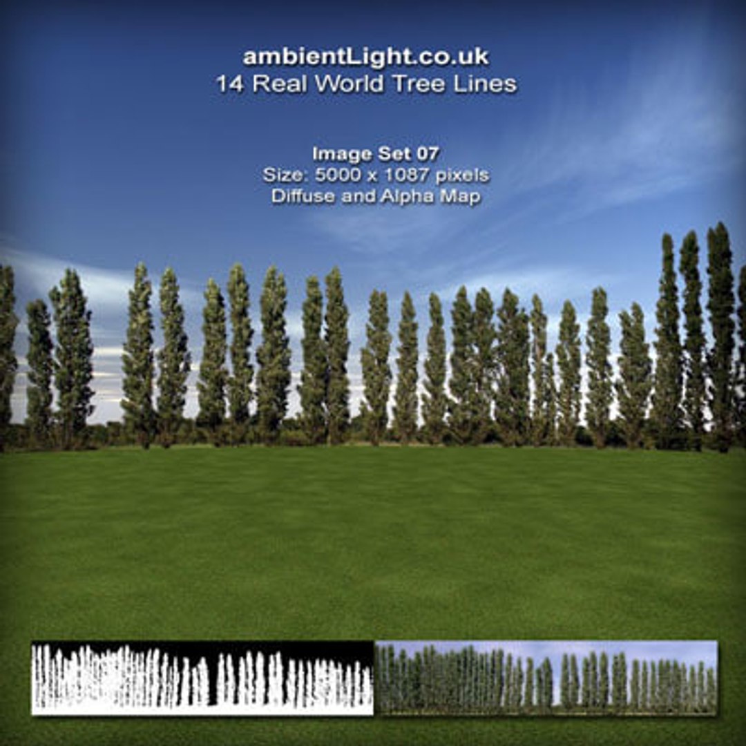 14 Real World Tree Lines - TurboSquid 278595