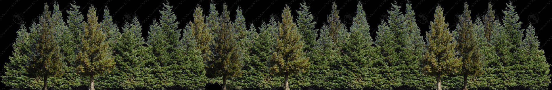 Conifer Treeline image.JPG - TurboSquid 289256