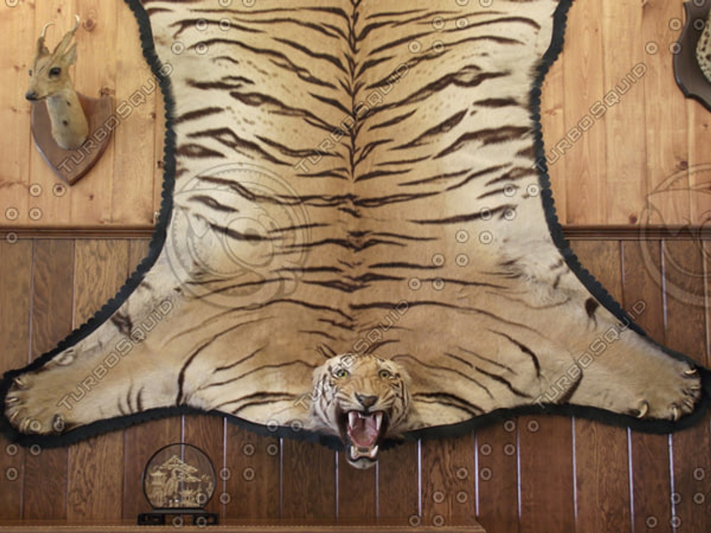 Tiger Textures - TurboSquid 283304