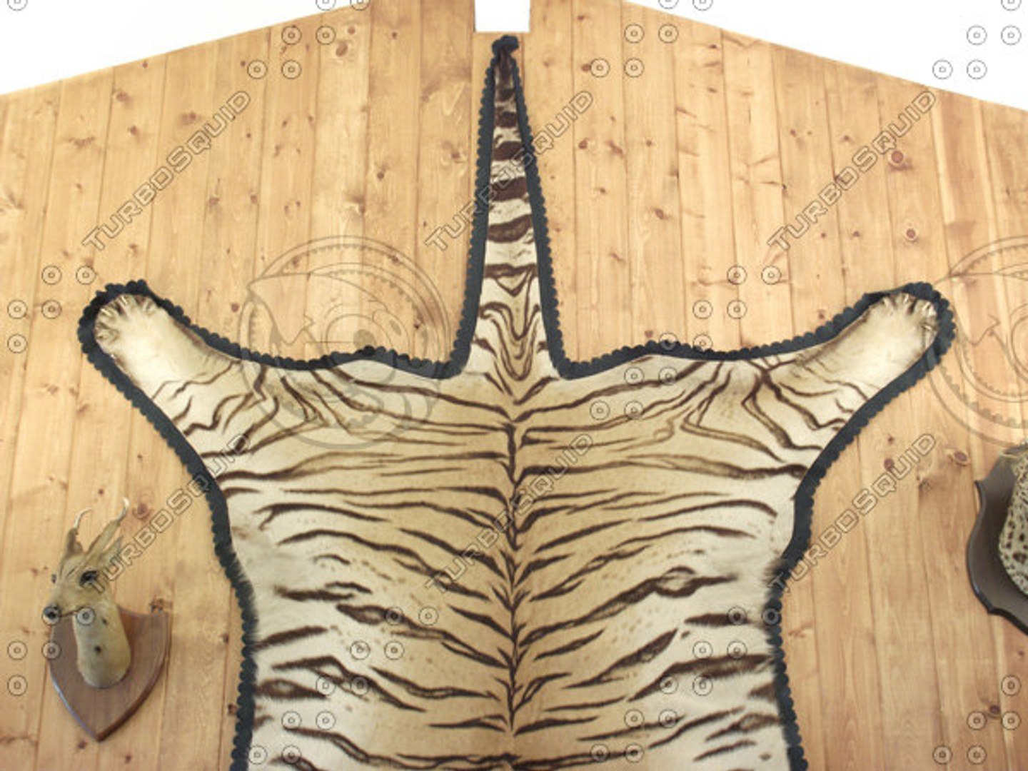 Tiger Textures - TurboSquid 283304